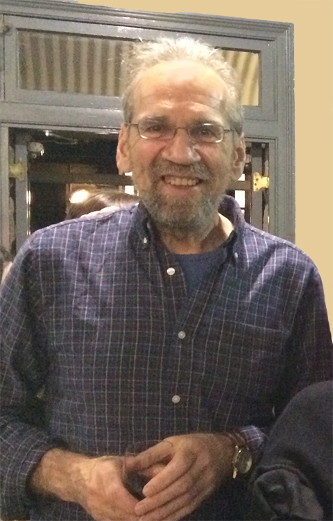 International Play Association (IPA World)